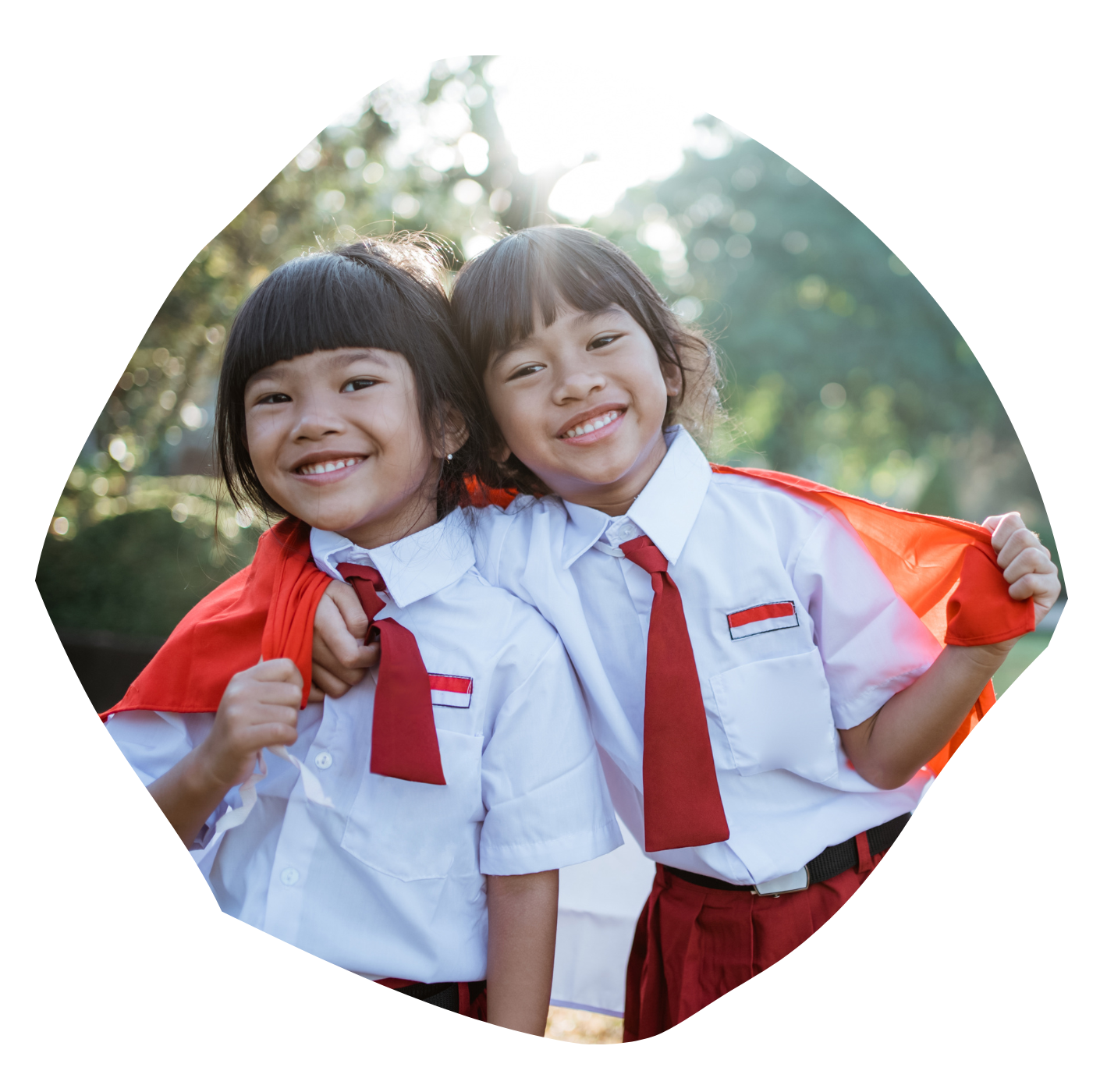 Synergy education – Your Trusted Education Partner